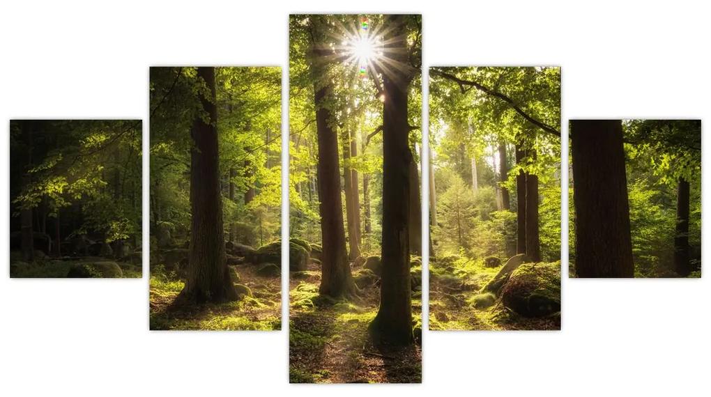 Obraz snového lesa (125x70 cm)