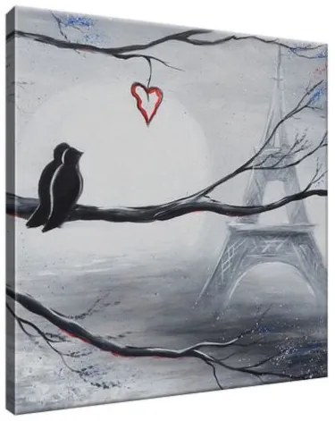 Tištěný obraz Ptačí romantika v Paříži 30x30cm 3440A_1AI