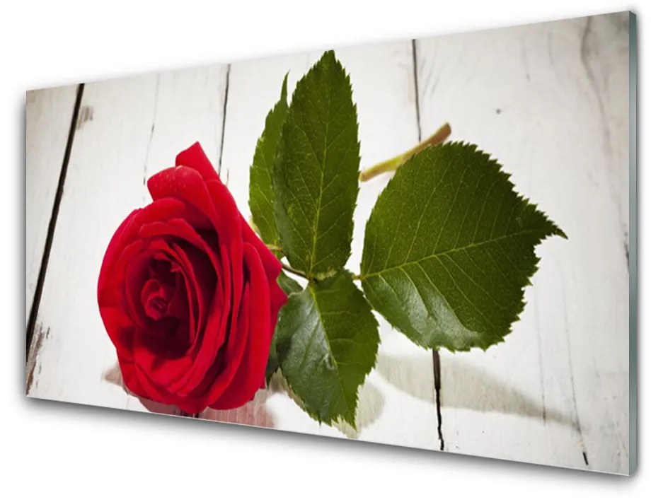 Obraz na skle Růže Květ Rostlina 125x50 cm