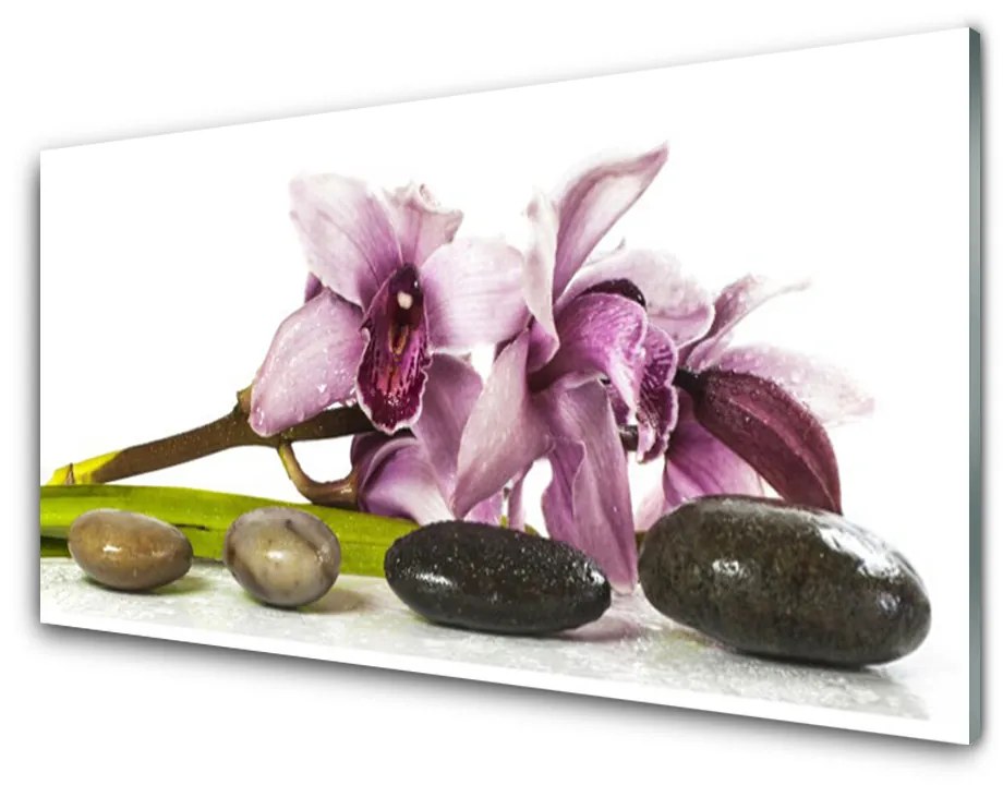 Obraz na skle Květ Kameny Rostlina 120x60 cm
