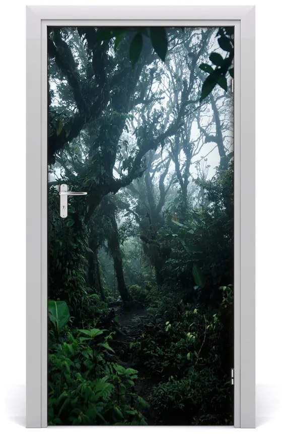 Fototapeta na dveře samolepící deštný les 85x205 cm