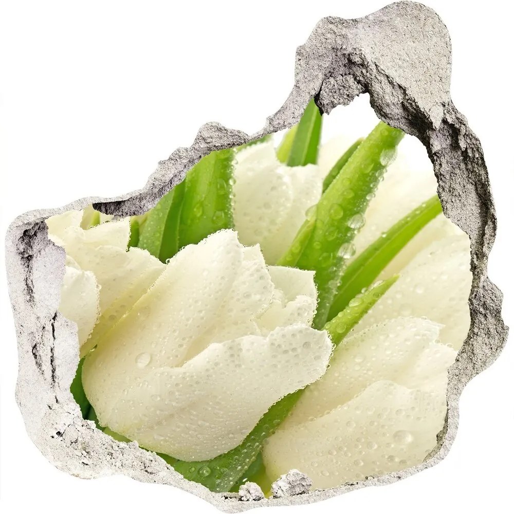 Wallmuralia Samolepící díra na stěnu Bílé tulipány 75x75 cm