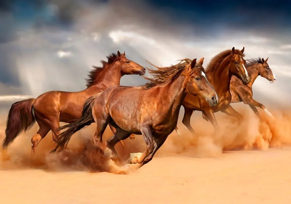 Fototapeta Koně Běžící V Poušti Omyvatelný vlies 104x70.5