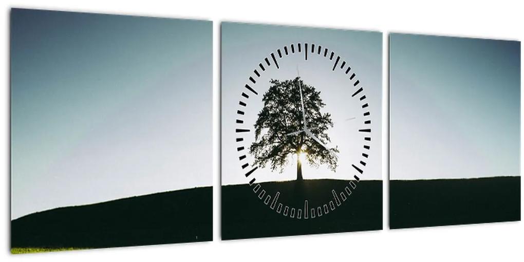 Obraz přírody - strom (s hodinami) (90x30 cm)