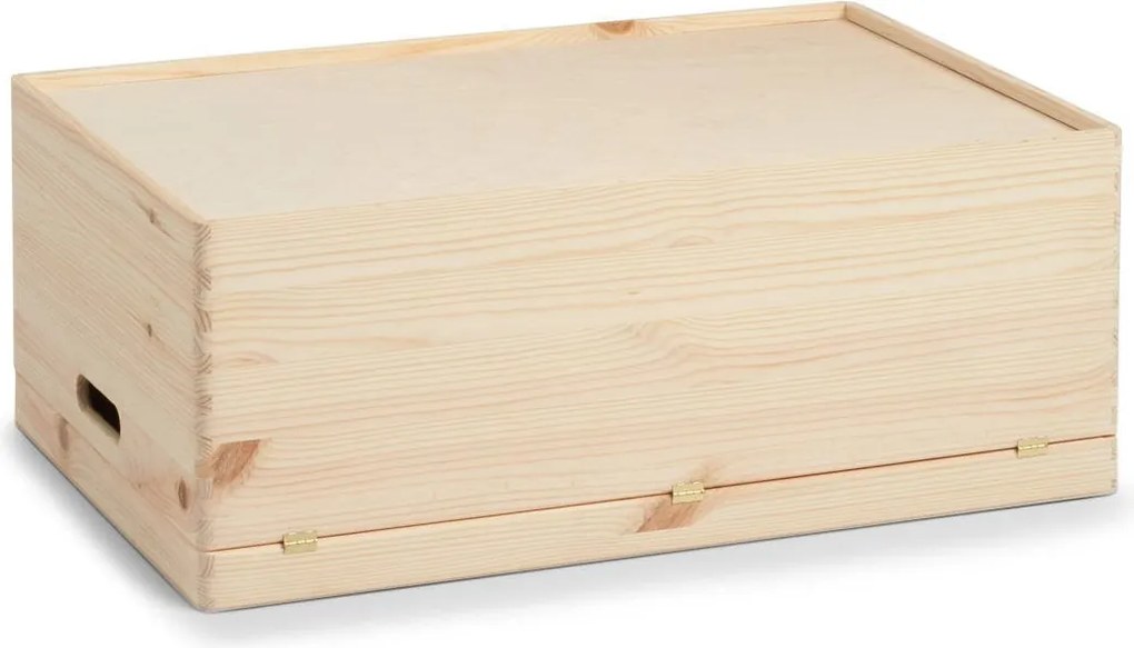 Skladovací kontejner s víkem, organizátor 58 l, ZELLER