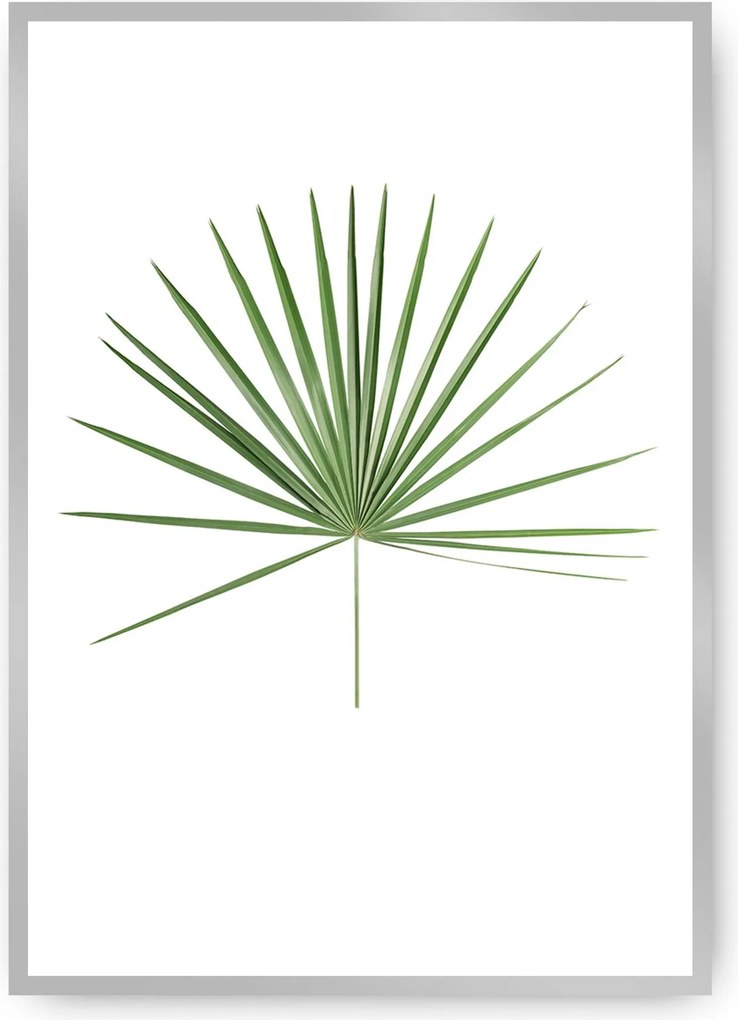 Plakát Tropical Leaf Green