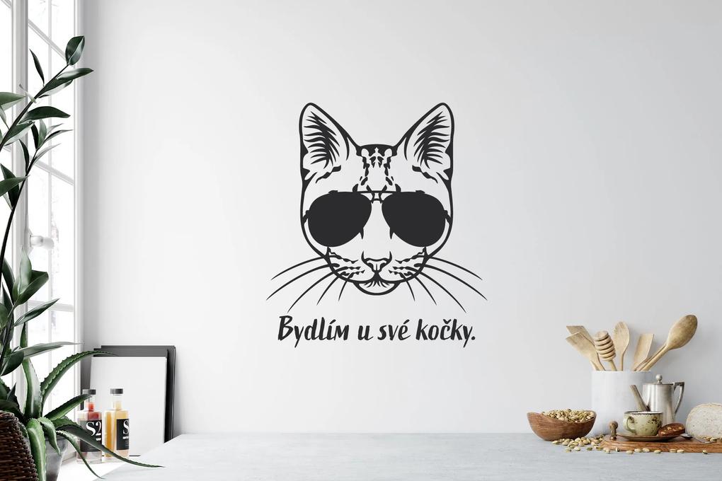 Lepy.cz Samolepka na zeď Bydlím u své kočky Velikost (šířka x výška): 50x55cm, Barevná varianta: Bílá