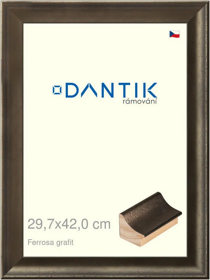 DANTIK rámeček 29,7x42 | Ferrosa grafit (Plexi Čiré)