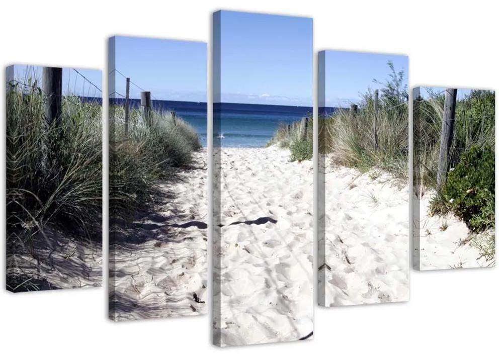 Gario Obraz na plátně Cesta přes duny - 5 dílný Rozměry: 100 x 70 cm