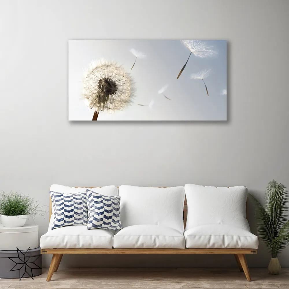 Obraz na plátně Pampeliška Květiny Příroda 140x70 cm