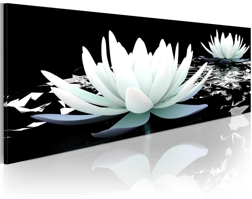 Obraz bílí leknín - Alabaster lilies