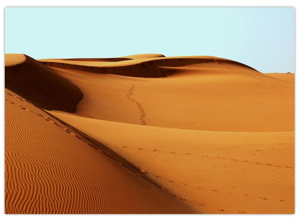 Obraz - Stoupy v poušti (70x50 cm)