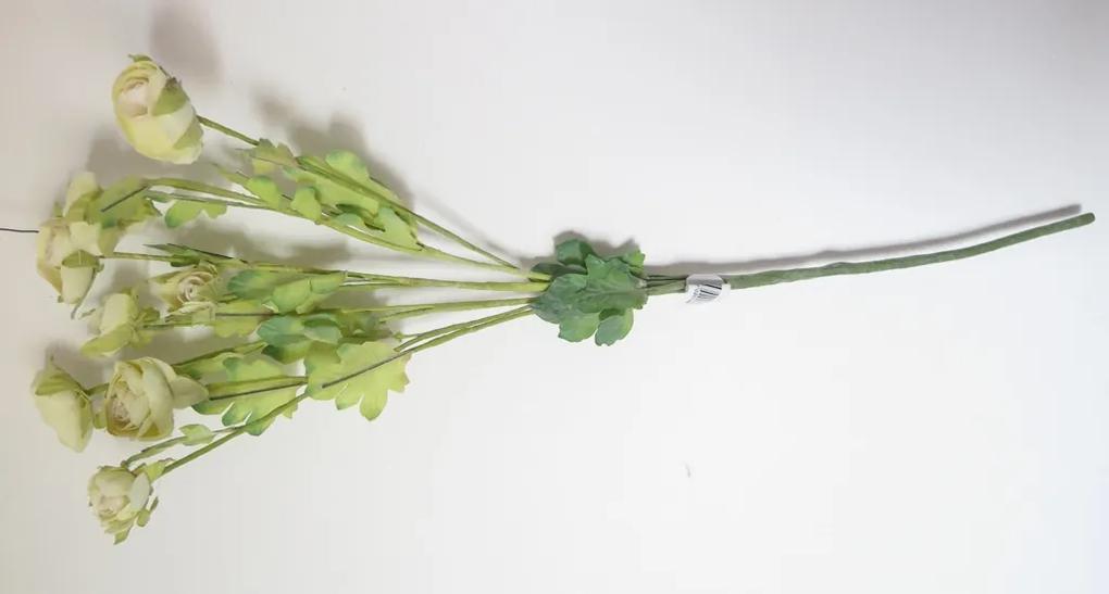 Pryskyřník - Anemon trs bílý  56,5cm, květ 3,5cm