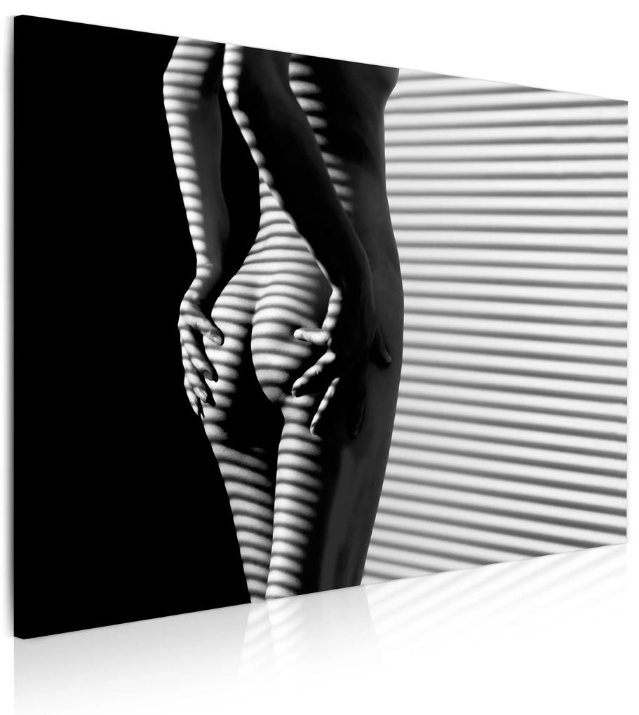 Malvis ® Obraz Nahá žena Velikost (šířka x výška): čtyřdílný čtverec - 50x50 cm