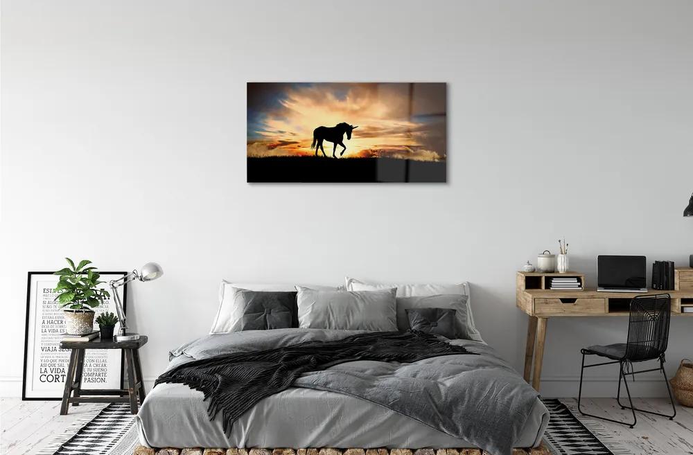 akrylový obraz Unicorn sunset 100x50 cm