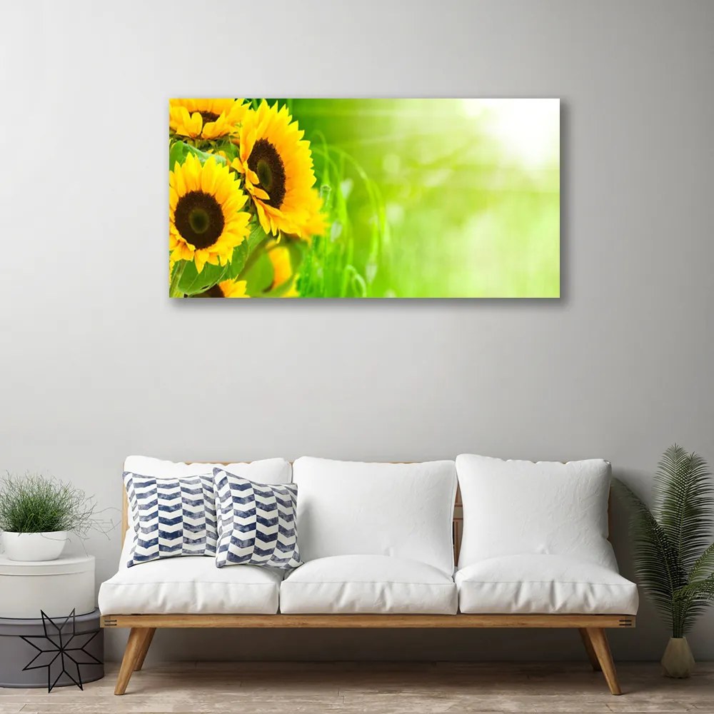 Obraz na plátně Slunečníce Rostlina 125x50 cm