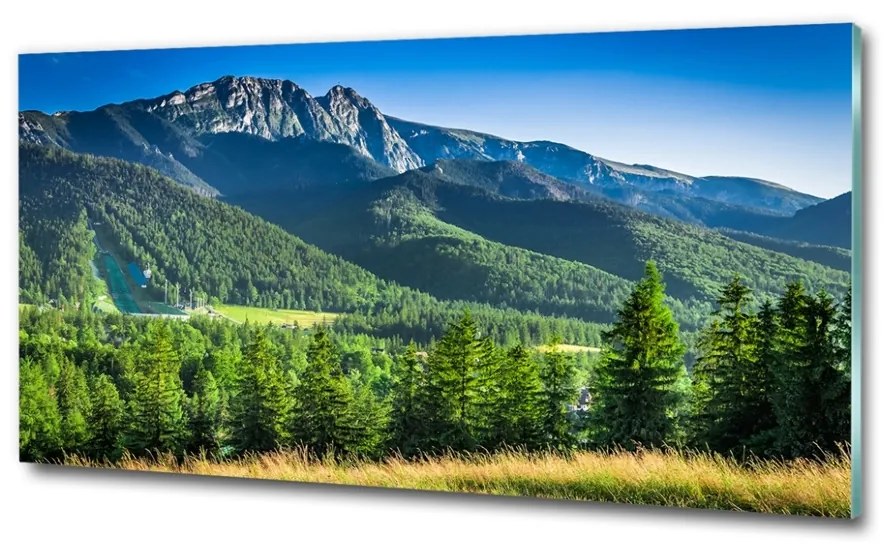 Wallmuralia Foto-obraz fotografie na skle Skokanský můstek Tatry 100x50