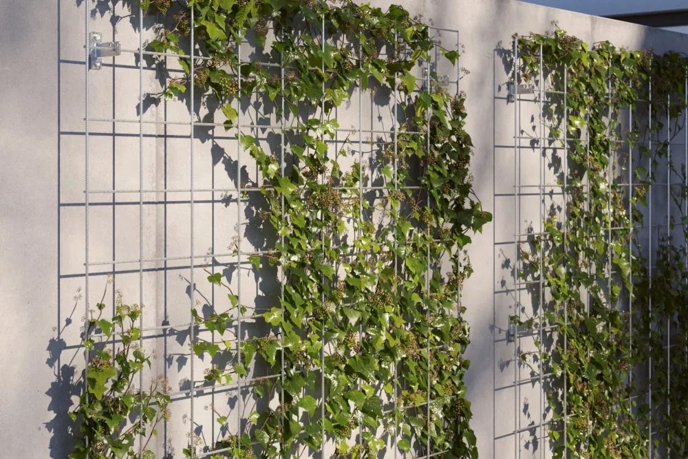 Treláž – opora pro rostliny 195 × 135 cm ✔ Bez držáků na stěnu