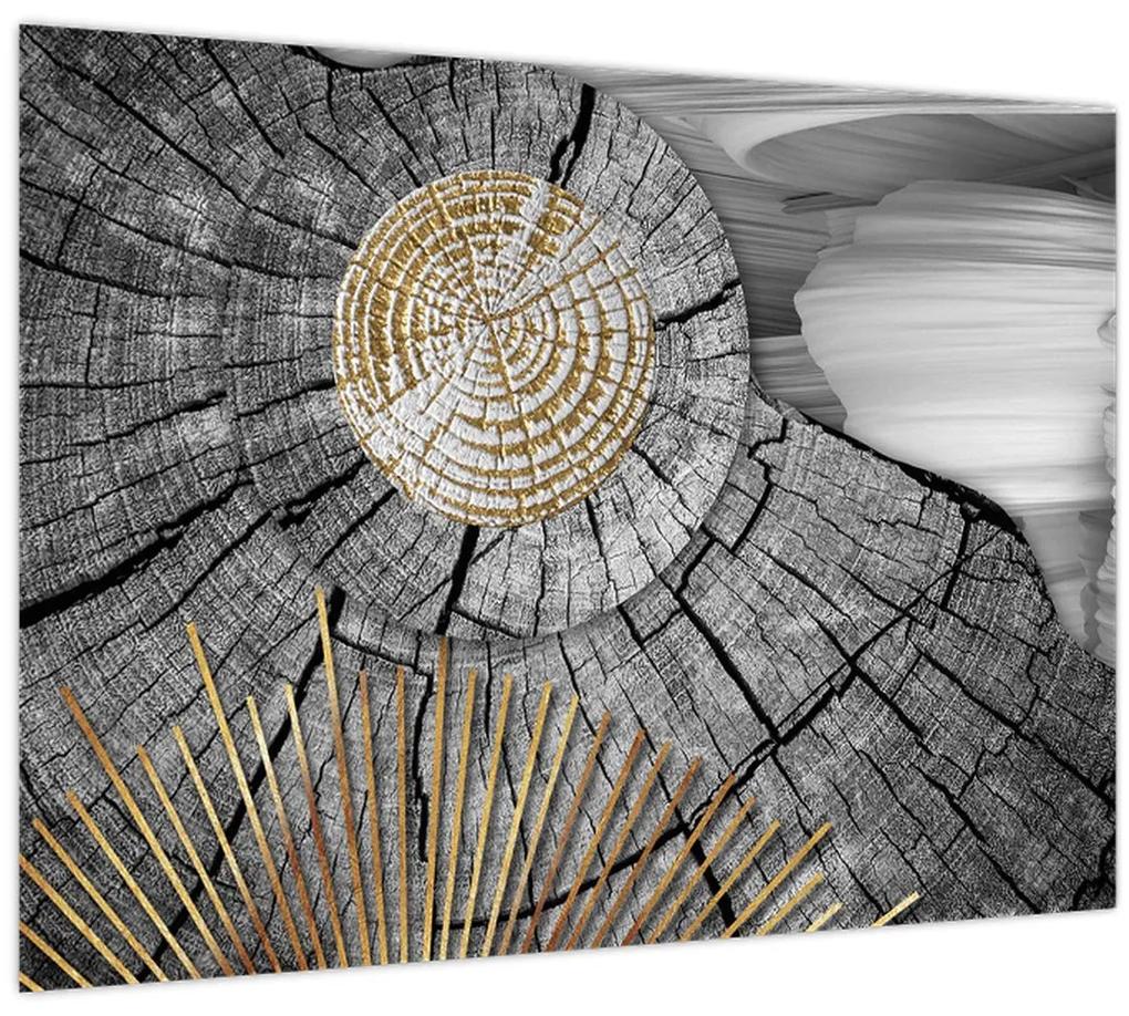 Obraz - Kmen stromu v koláži (70x50 cm)