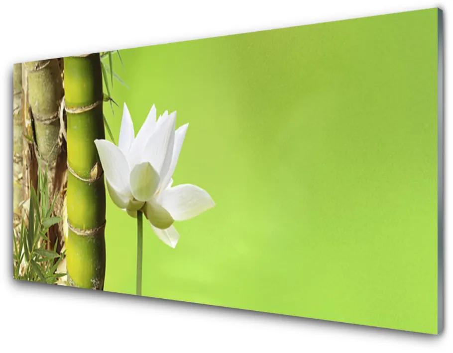 akrylový obraz Bambus Stonek Rostlina Příroda 140x70 cm