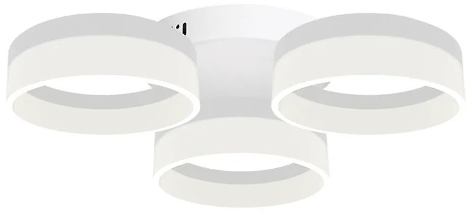 LED Stropní svítidlo RING 3xLED/12W/230V bílé