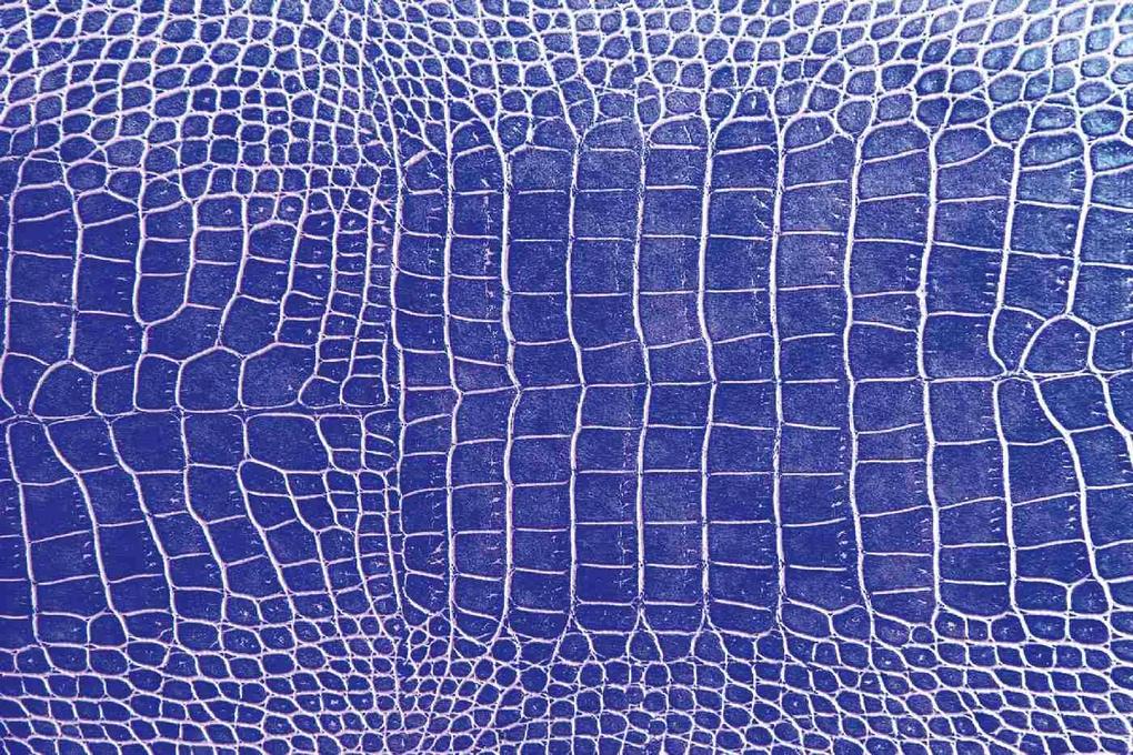 DIMEX | Vliesová fototapeta Krokodýlí kůže MS-5-2581 | 375 x 250 cm | modrá, bílá
