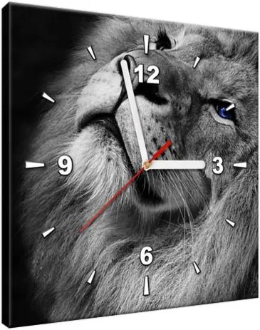 Tištěný obraz s hodinami Modrooký lev 30x30cm ZP3123A_1AI