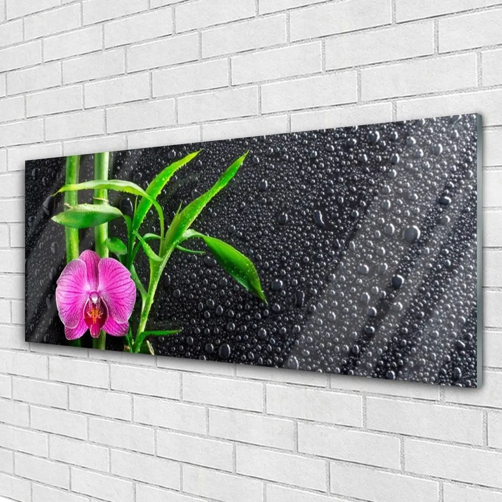 akrylový obraz Bambus Květ Kapky 125x50 cm