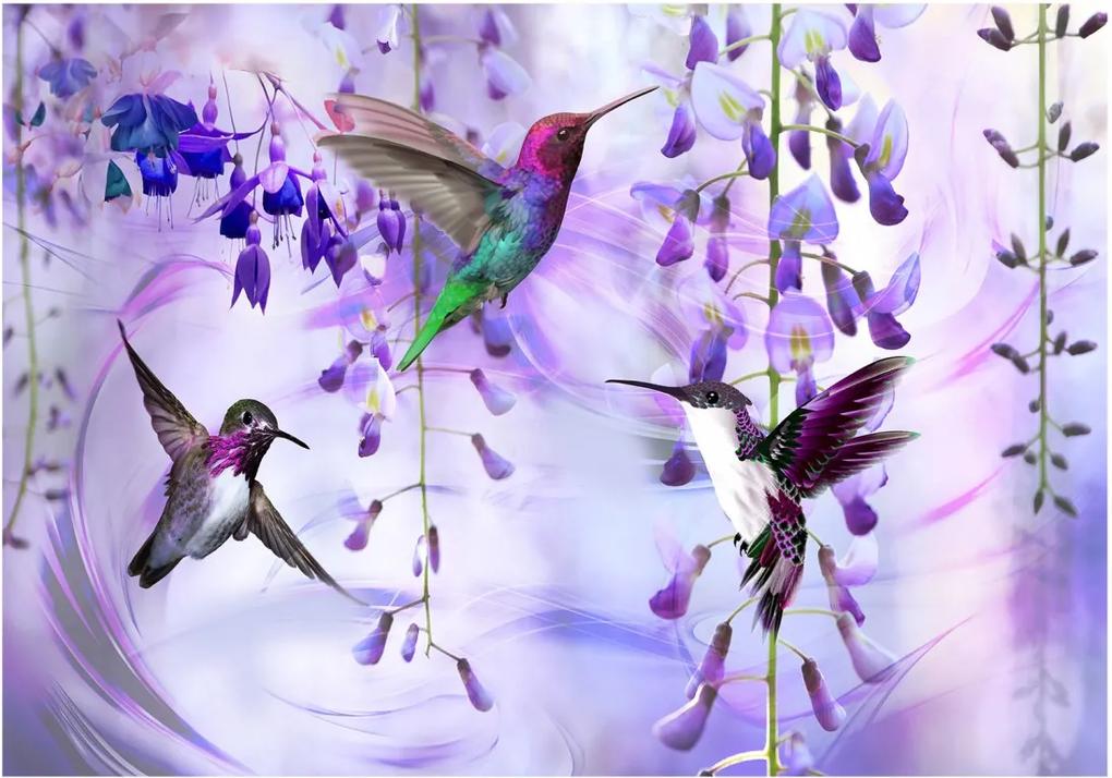 Tapeta létající kolibříci - fialová (150x105 cm) - Murando DeLuxe