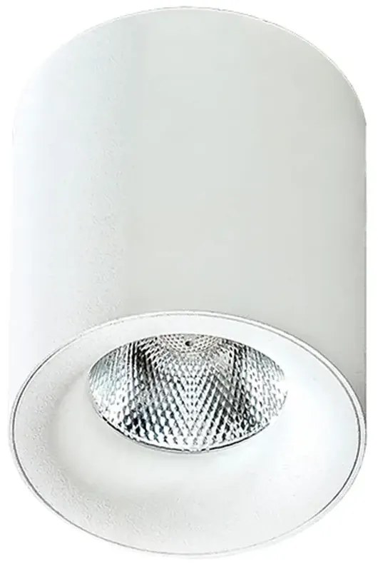 LED bodové světlo Mane bílé