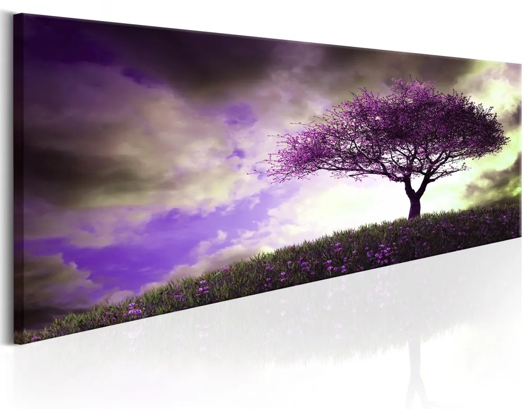 Obraz strom fialový + háčky a hřebíčky ZDARMA Velikost (šířka x výška): 90x30 cm