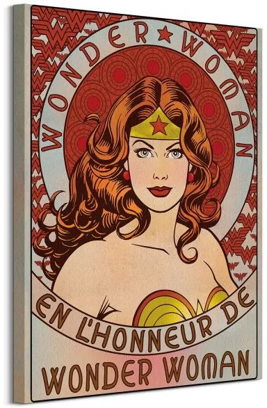 Obraz na plátně DC Comics Wonder Woman (En L'Honneur) 60x80cm WDC99977