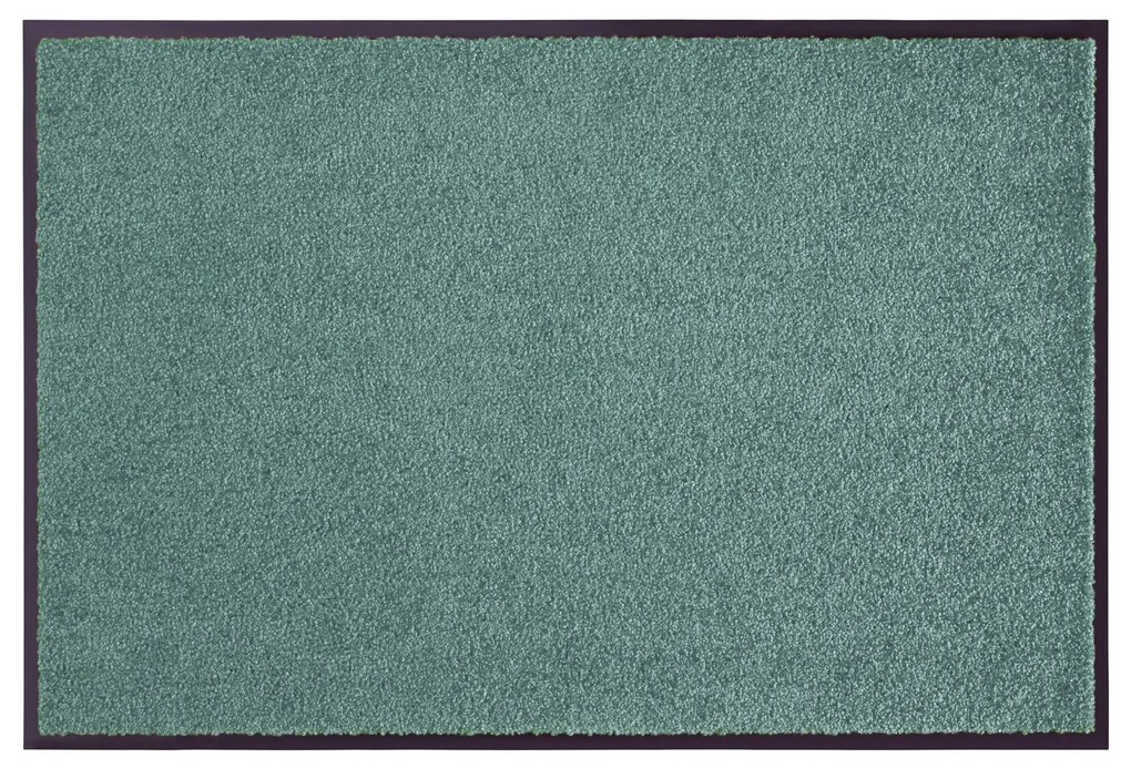 Hanse Home, Rohožka Wash & Clean 103836 Olive Green, 40x60, zelená, chodba / předsíň