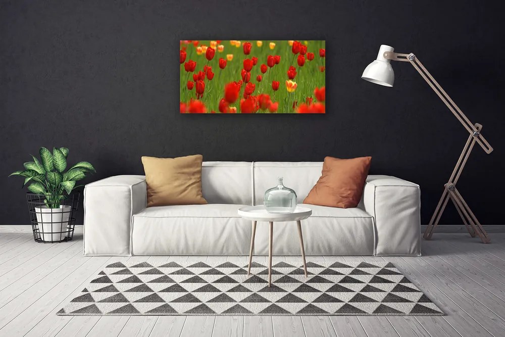 Obraz na plátně Tulipány Rostlina 120x60 cm