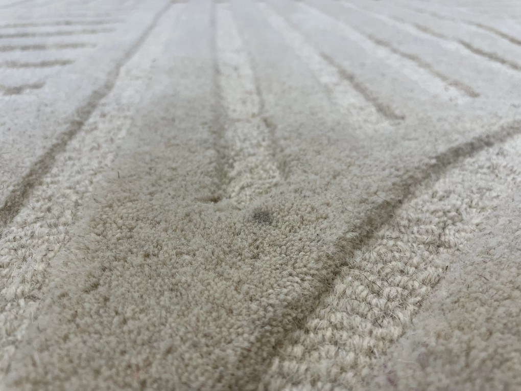 Flair Rugs, POŠKOZENÝ Kusový koberec Solace Zen Garden Natural, 200x290, béžová, ložnice