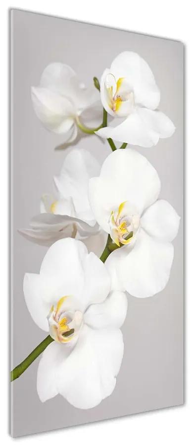 Wallmuralia Moderní akrylový fotoobraz Orchidej 50x125 cm