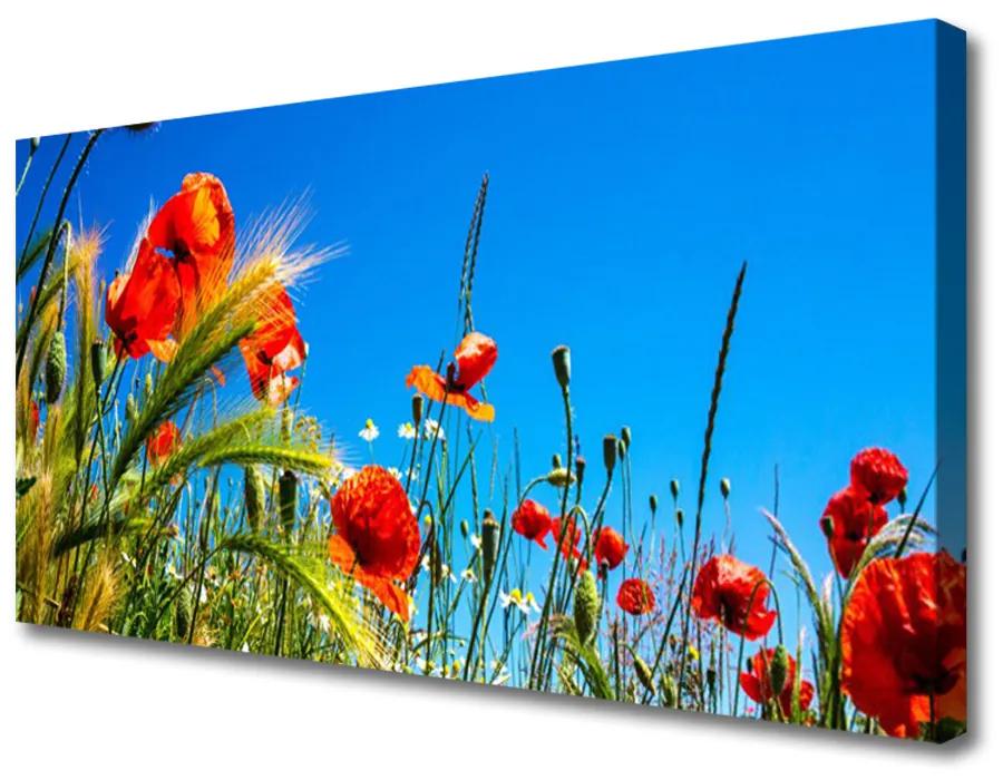 Obraz na plátně Květiny Máky Pole Trávy 125x50 cm