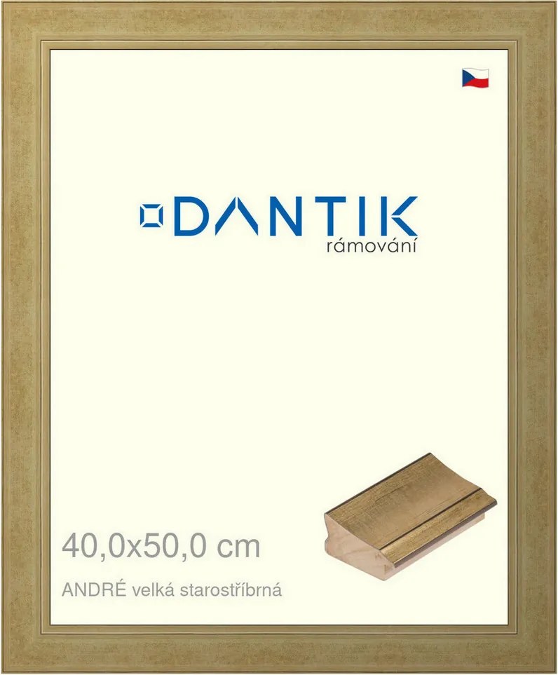 DANTIK rámeček 40x50 | ANDRÉ velká starostříbrná (Plexi Čiré)