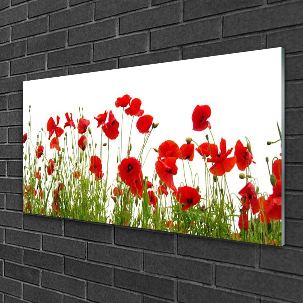 Obraz na skle Máky Květiny Příroda 140x70 cm