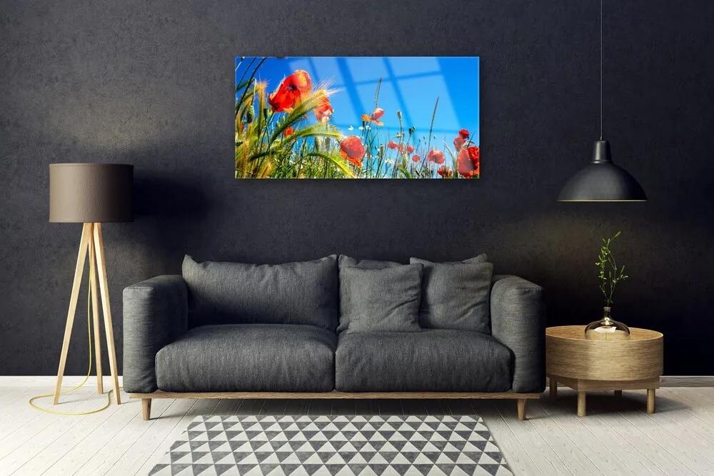 Obraz na skle Květiny Máky Pole Trávy 120x60 cm