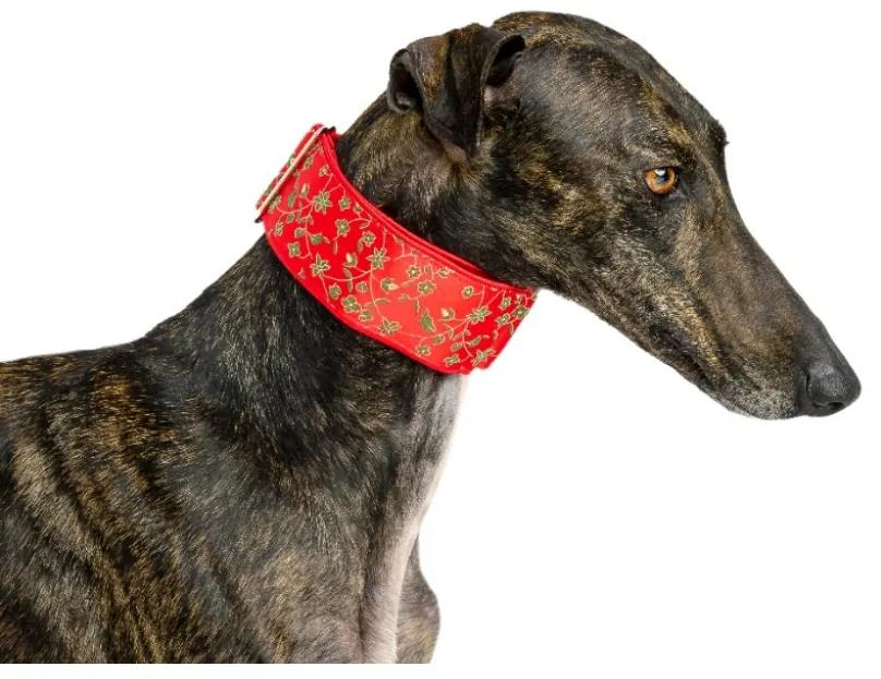 Obojek pro psa Grace Emily Meadow červený Provedení: Stříbrná kovová spona, Délka obojku: XS - 23 - 31 cm, Šířka obojku: 3 cm