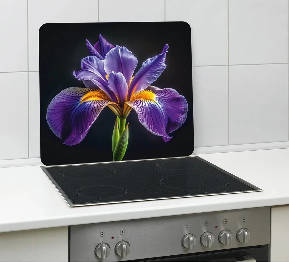 Kryt na zeď u sporáku z tvrzeného skla 50x56 cm Iris – Wenko