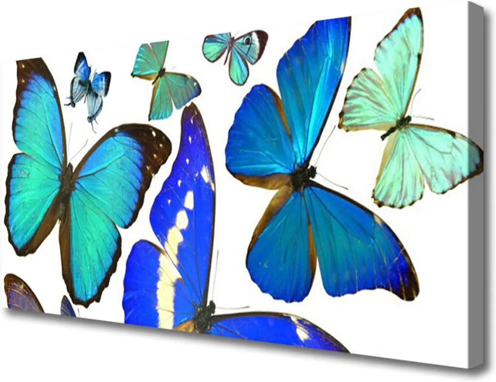 Obraz na plátně Skleněný Motýli Příroda