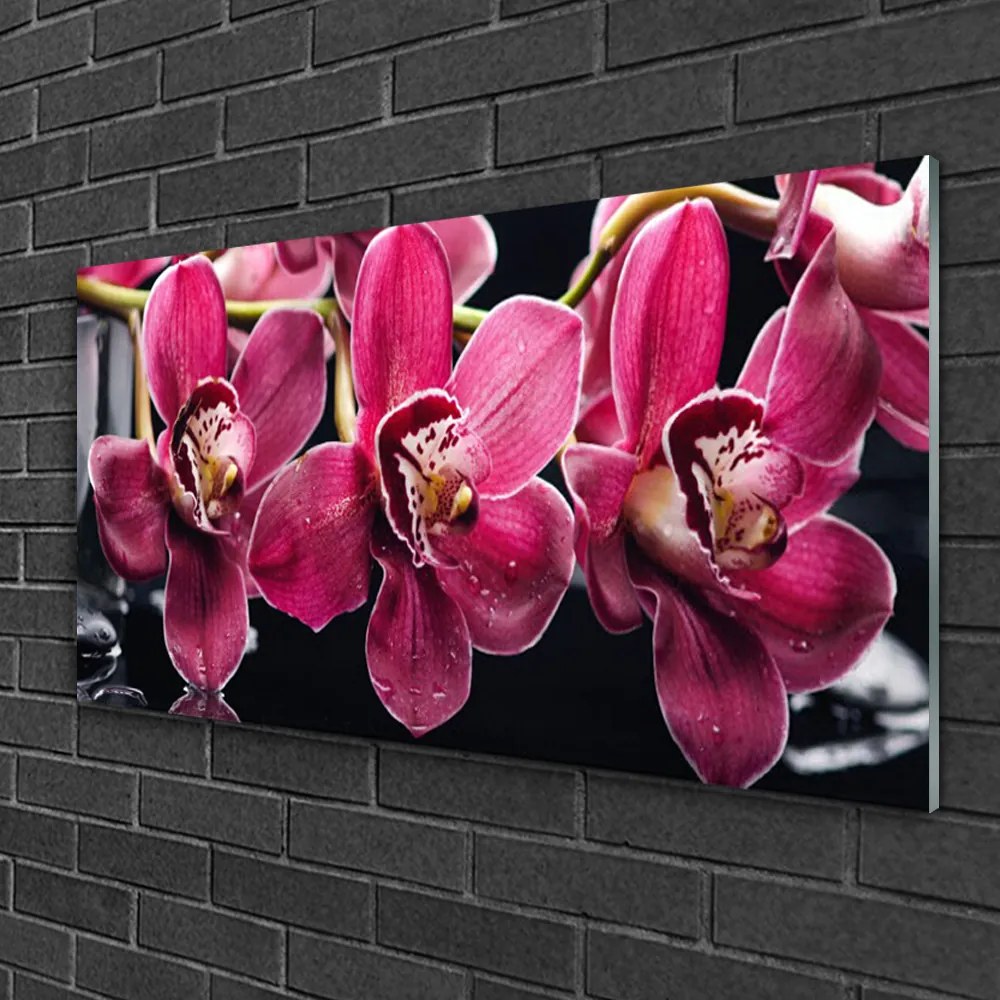 Obraz na skle Květiny Orchideje  Výhonky Příroda 125x50 cm