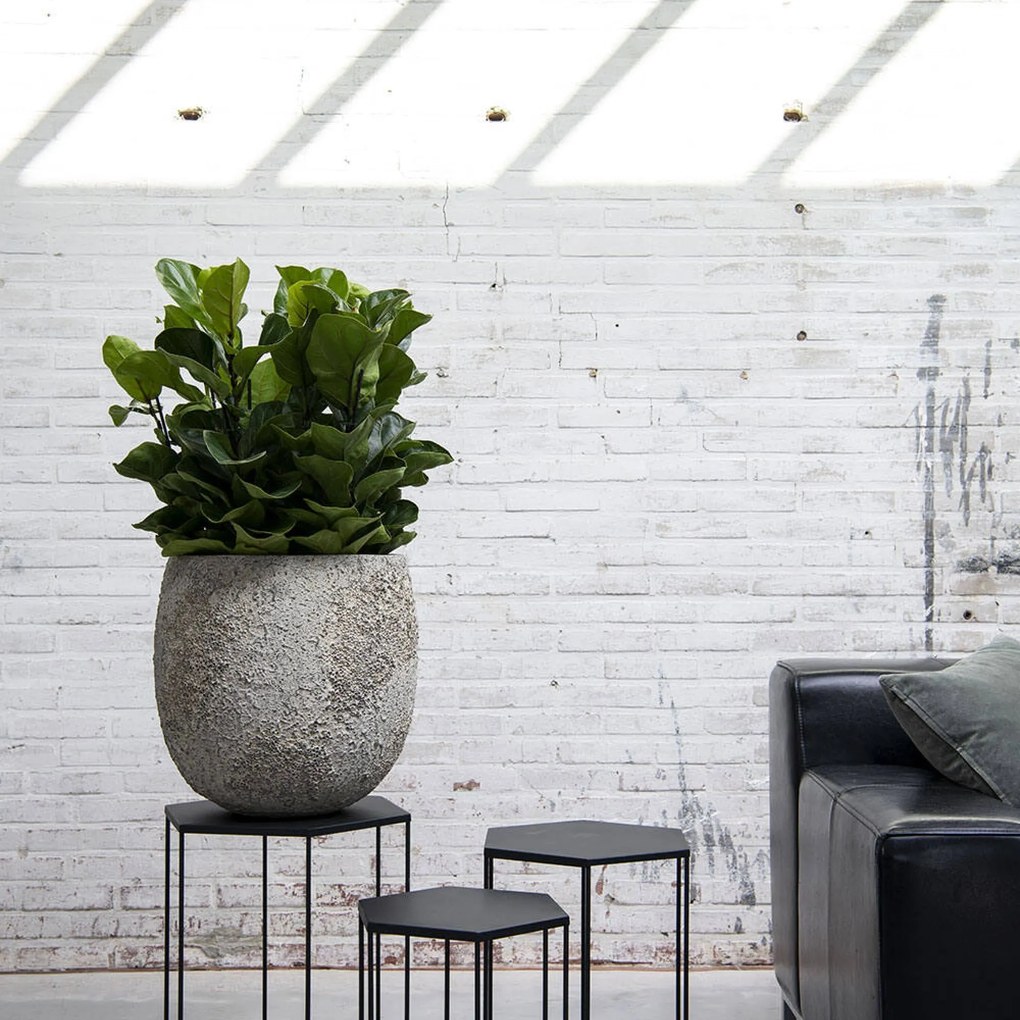 Ficus lyrata umělý 100 cm