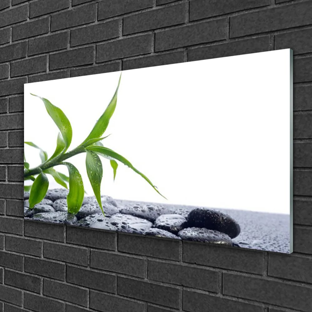 Obraz na skle List Příroda Kameny Rostlina 100x50 cm