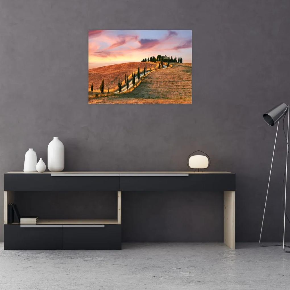 Skleněný obraz - Dům na kopci, Toskánsko, Itálie (70x50 cm)