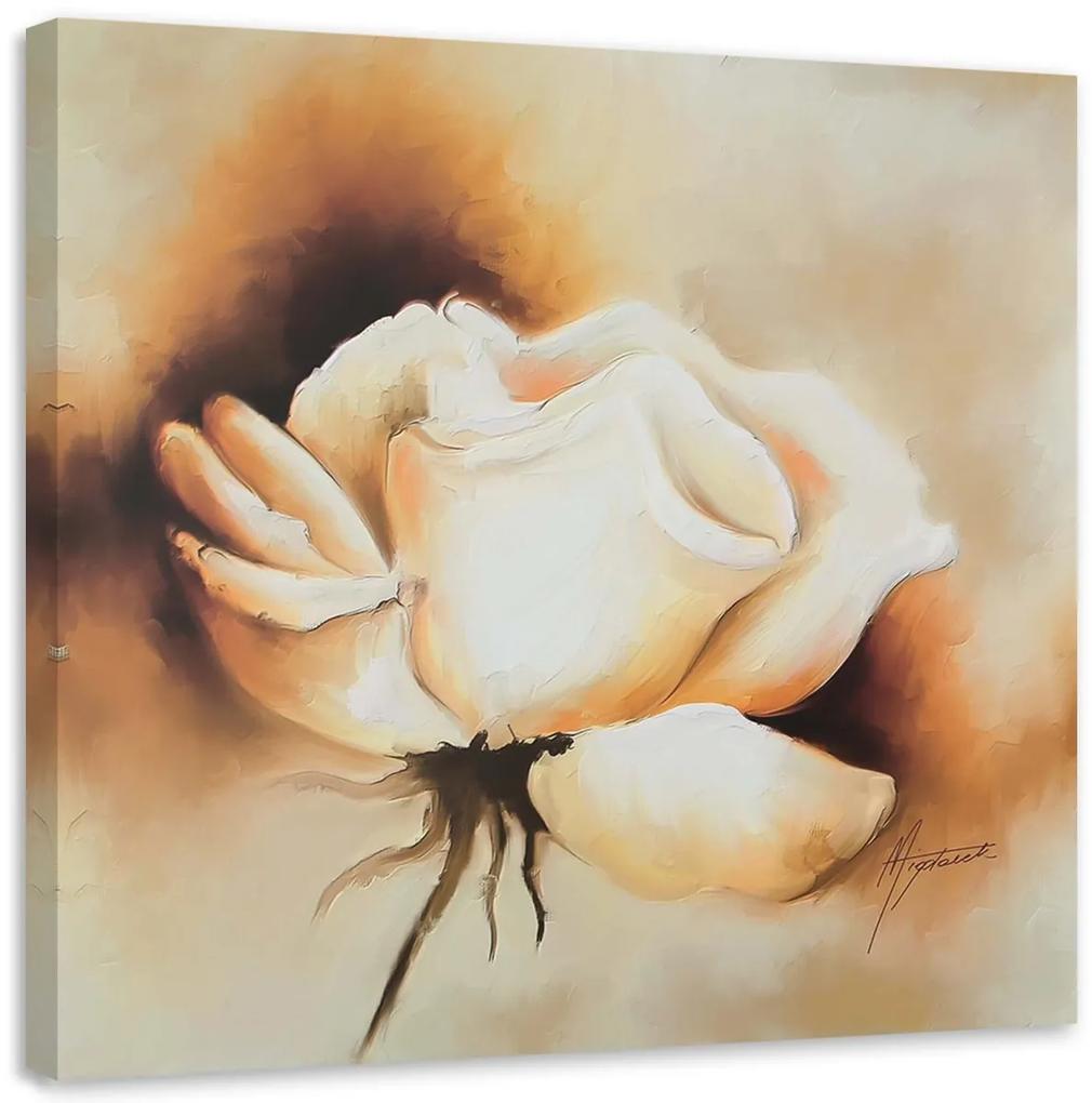 Obraz na plátně Růže Květina Bílá příroda - 60x60 cm