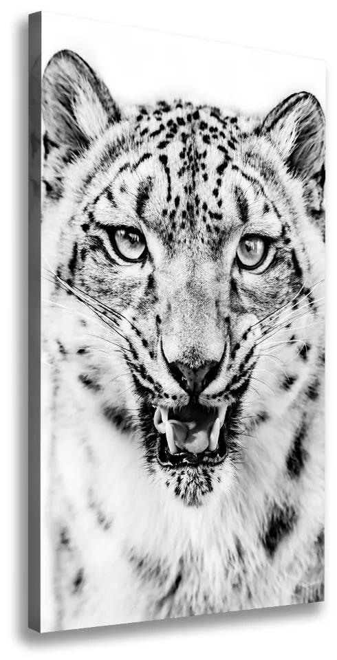 Wallmuralia Vertikální Foto obraz na plátně Sněžná pantera 50x100
