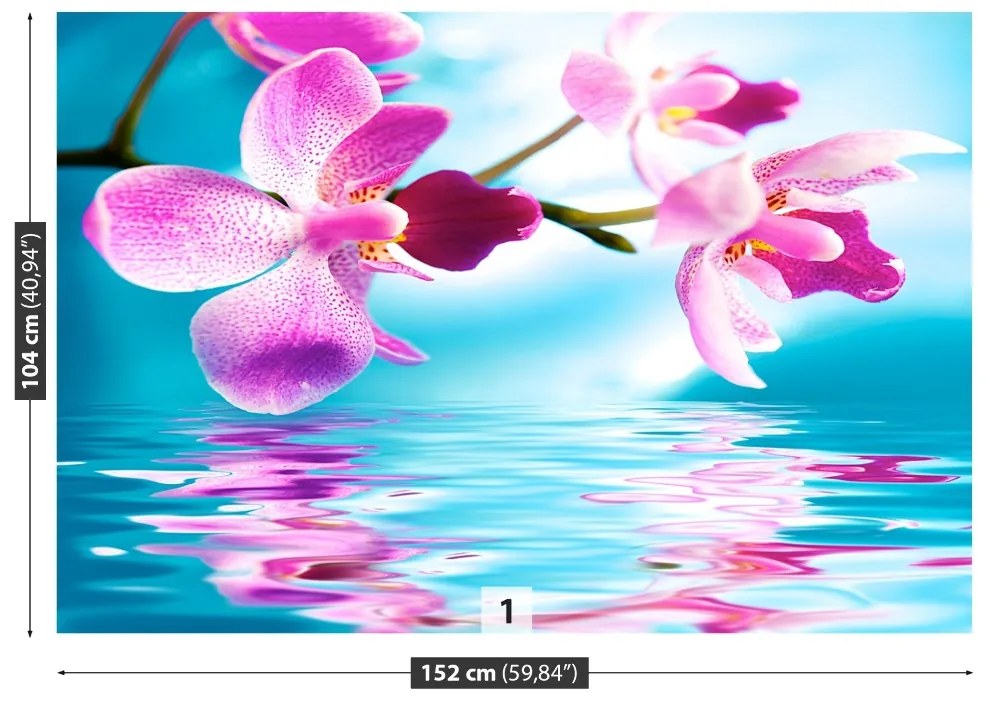 Fototapeta Voda orchidej 104x70